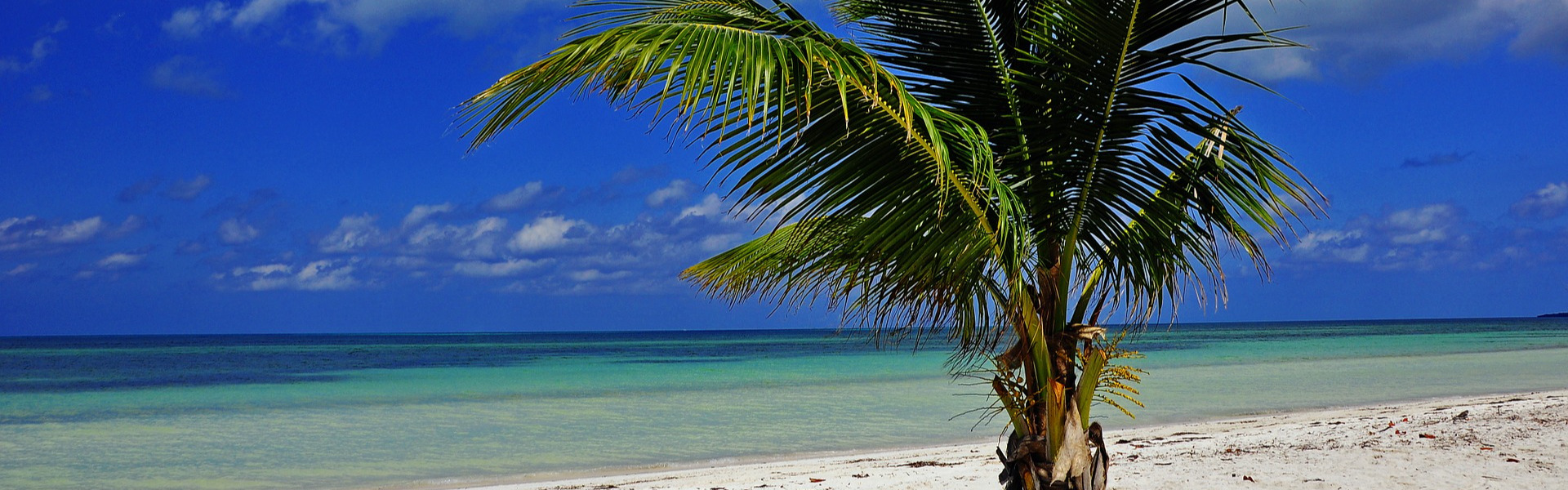 Voyage Cayo Santa Maria: Au meilleur prix garanti